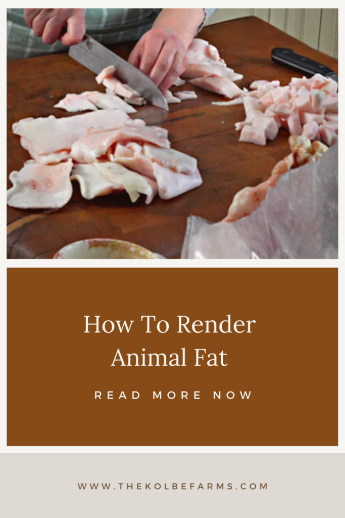 How To Render Animal Fat